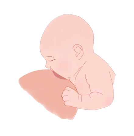  Breastfeeding Educational Resource